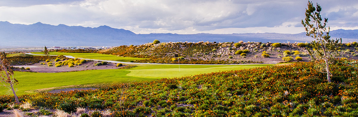 Laughlin Golf Courses | Laughlin Golf Packages | Golf Laughlin Nevada