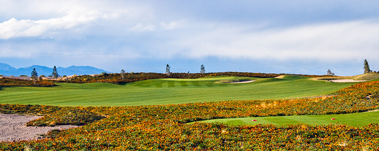 Los Lagos Golf Club | Laughlin Golf | GolfLaughlinNevada.com